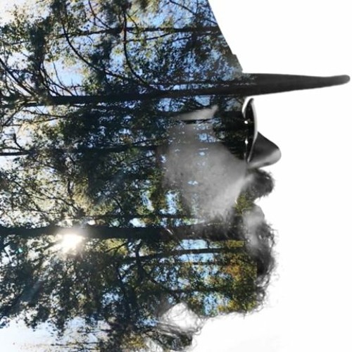 Stream The Wake (Sample) by The Ghost + Bones | Listen online for free ...