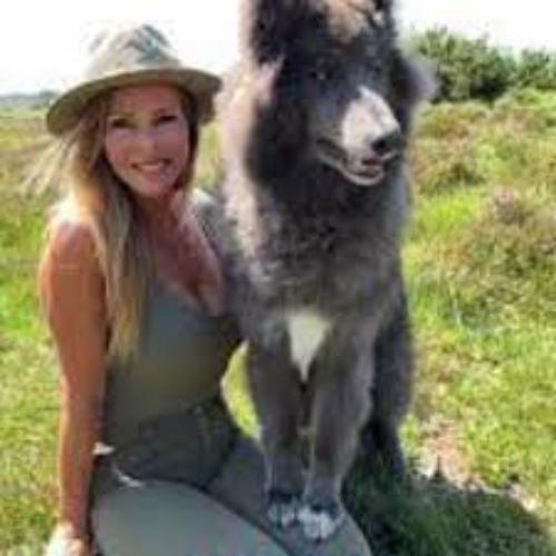 Stream Download one girl one wolf Original btswiki com viral video full ...