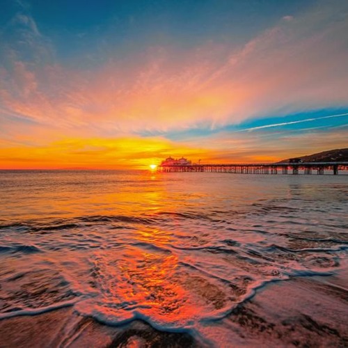 Stream LET'S DANCE by Agent Elizabeth | Listen online for free on ...