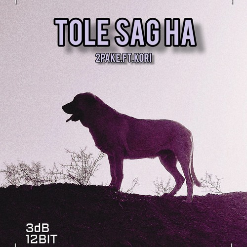 Stream Tole sag ha(feat.kori) by 2pake | Listen online for free on ...