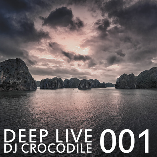 Stream Deep Live 001 [lounge] by dj Crocodile | Listen online for free ...