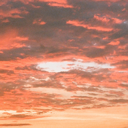 Stream steady by greedy green | Listen online for free on SoundCloud