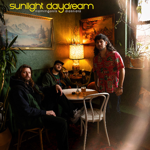 Stream Flamingosis | Listen to Sunlight Daydream playlist online for ...