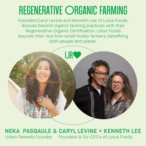 Stream episode Guests Caryl Levine & Kenneth Lee of Lotus Foods ...