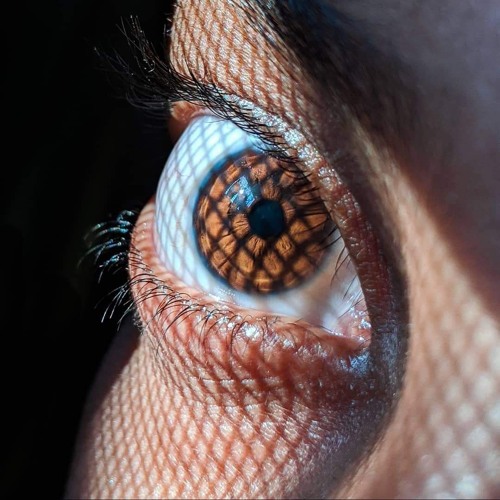 Stream BØRNS - Past Lives (Sapientdreams Remix by Shah G👑 | Listen ...