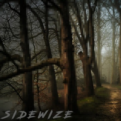 Stream Digital Forest by SideWize | Listen online for free on SoundCloud