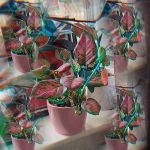 Stream Kelly Zahn - Deep Tech House Mix by Manitoba Electronic Music ...