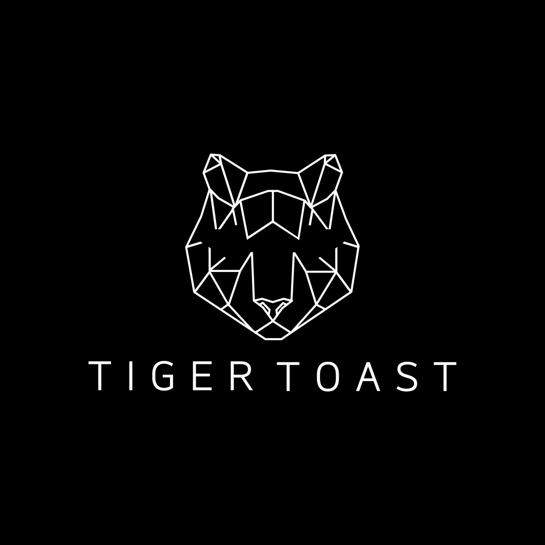 Stream Tiger Toast 'Club Lessons' Mashup Pack 001 [10 TRACKS] by Tiger ...