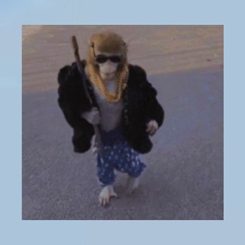 Stream funee monkee gif 「slowed + reverb」 by Hikari | Listen online for ...