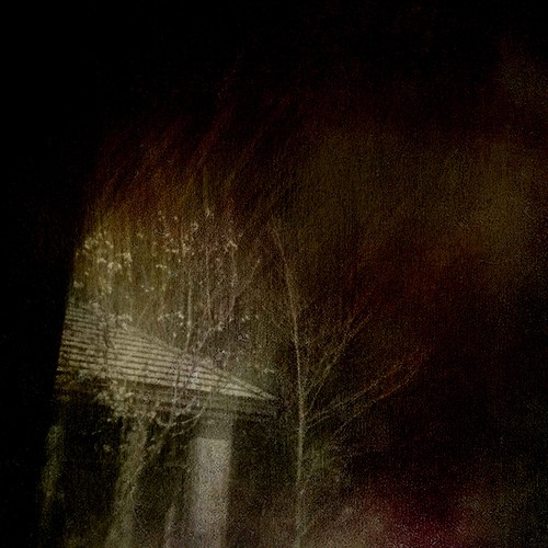 Stream dreamy shoegaze x flyingfish x novulent type beat by livewell ...