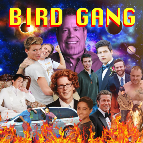 Stream BIRD GANG ESSENTIAL MIX by Q | Listen online for free on SoundCloud