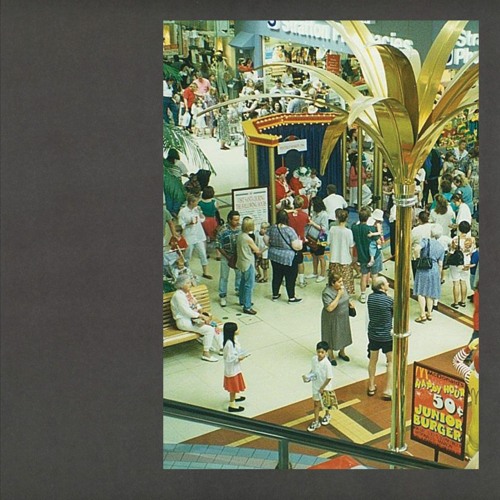 Stream Shane and Angel Find a Home by James Harbard | Listen online for ...