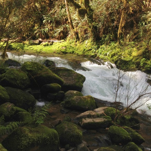 Stream episode Healing our Relationship with Water - Follow the Water ...