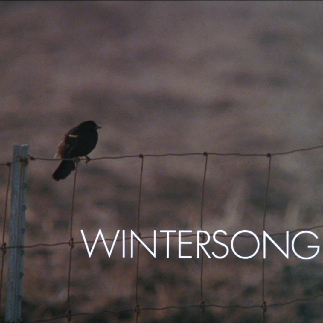 Stream The Windmills of Your Mind w/ Taylor Rowley 141223 by NTS 2023 ...