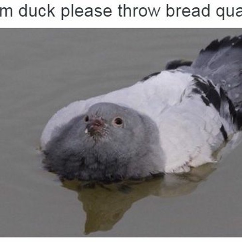 Stream im da biggest bird (with rizz) by taro | Listen online for free ...