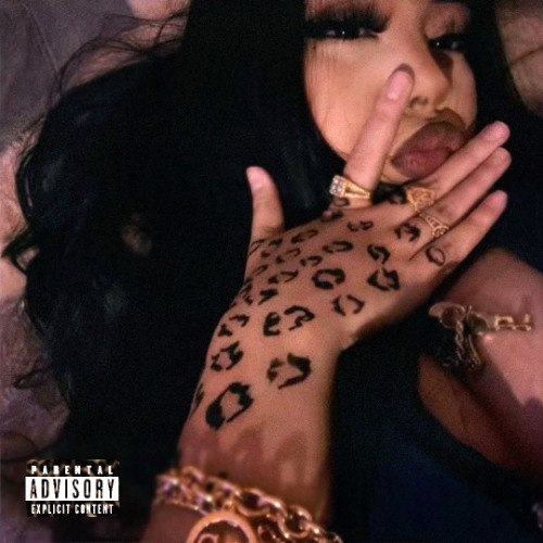 Stream wegonebeok x fakemink type beat - leopard print / underground ...