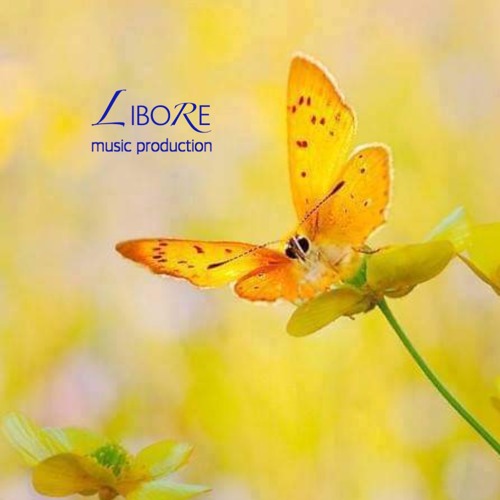 Stream LiboRe - The memory of a warrior in China by Libor Jeřábek ...