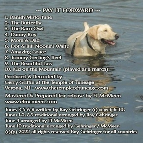 Stream 1. Banish Misfortune by Ray Gehringer | Listen online for free ...