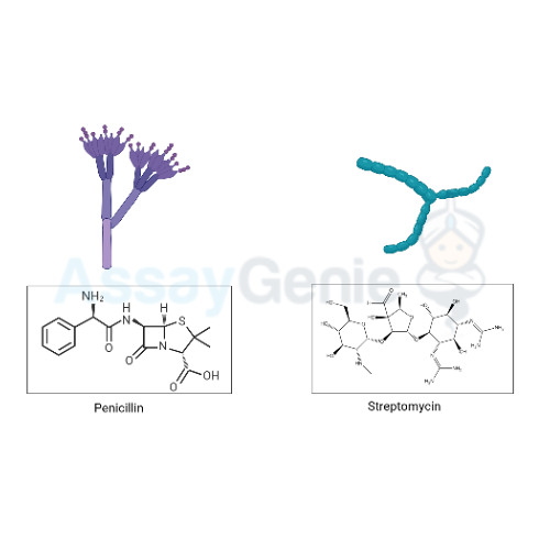 Stream episode Penicillin vs. Streptomycin_ A Comparative Analysis ...