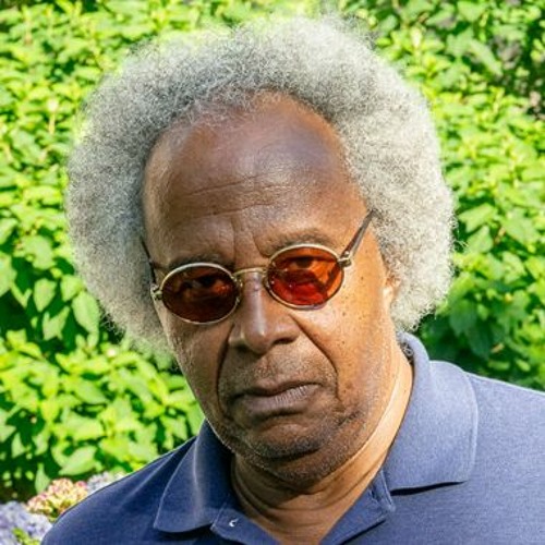 Stream Black Politics and the 2022 Mid-Term Elections by Black Agenda ...