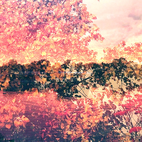 Stream Bliss by Soft Static | Listen online for free on SoundCloud