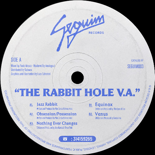 Stream PREMIERE: Alex Garcia & Vince Void - Jazz Rabbit [Seguim Records ...