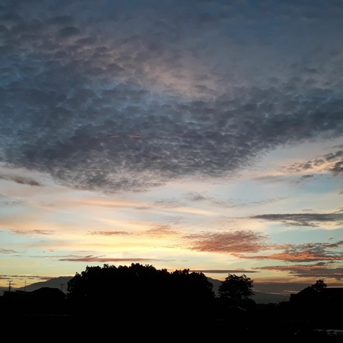 Stream PANCE PONDANG FULL ALBUM ( Cover Delisa salsa Dangdut ) by ...