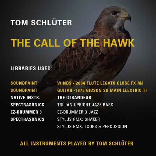 Stream The Call Of The Hawk #soundpaint_demo by Tom Schlueter | Listen ...