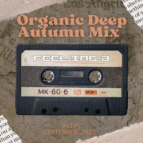 Stream ORGANIC DEEP AUTUMN MIX - #017 - [SEPT 2023] - by FEEL'ING. B ...