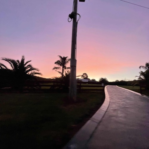 Stream ruby moss | Listen to unreleased songs🤍 playlist online for free ...