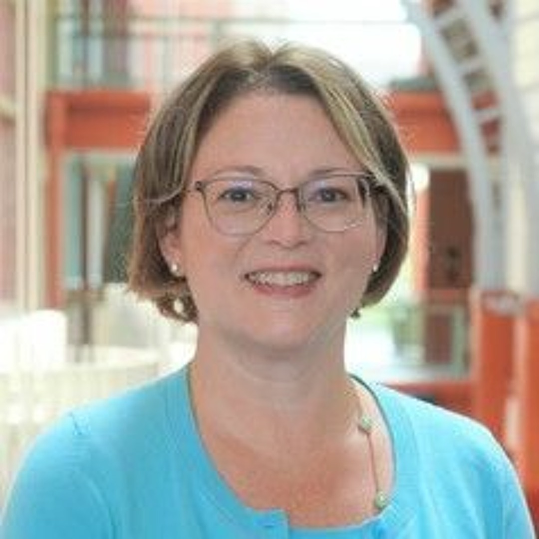 Stream episode Multi-tiered Trauma Informed Support with Prof. Sandra ...