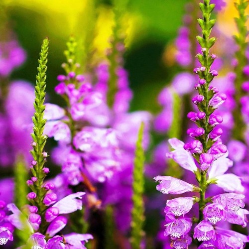 Stream modernia musiikkiabackground loop your background |||FREE ...