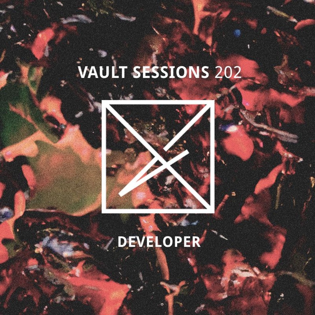 Stream Vault Sessions #202 - Developer by Vault Sessions | Listen ...