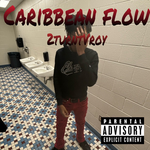 Stream Caribbean Flow by 2TurntVroy | Listen online for free on SoundCloud