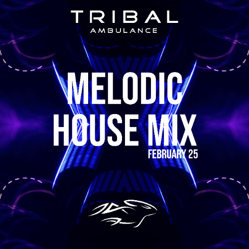 Stream Melodic House Mix [February 2025] by Tribal Ambulance | Listen ...