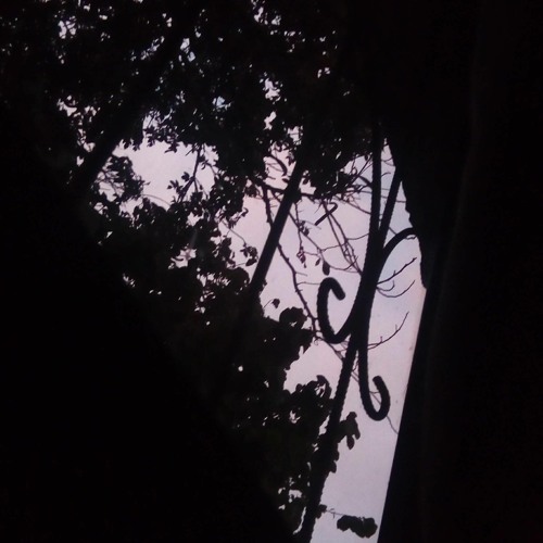 Stream Paseo Debajo De Un Rio by Michael Vaca | Listen online for free ...