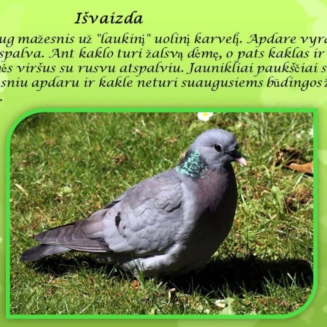 Stream zįęzųĮąşęjąş - ulduka§ nemokamas stilius by ‏‎ | Listen online ...