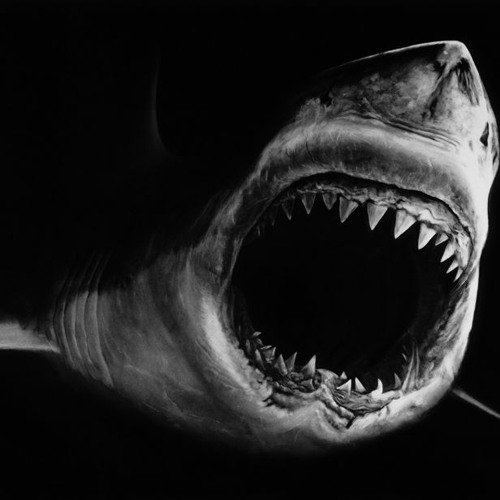 Stream SWITCH IT by Evan Schulz | Listen online for free on SoundCloud