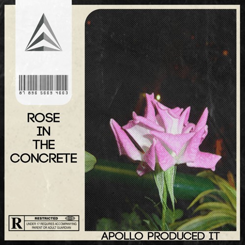 Stream HipHop type beat "Rose In The Concrete" (Apollo Produced It) by ...