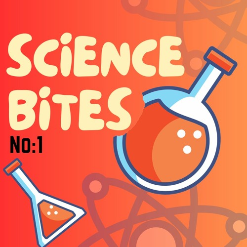 Stream episode Science Bites No:1 3D Printed Cheescake? by SWoodAudio ...
