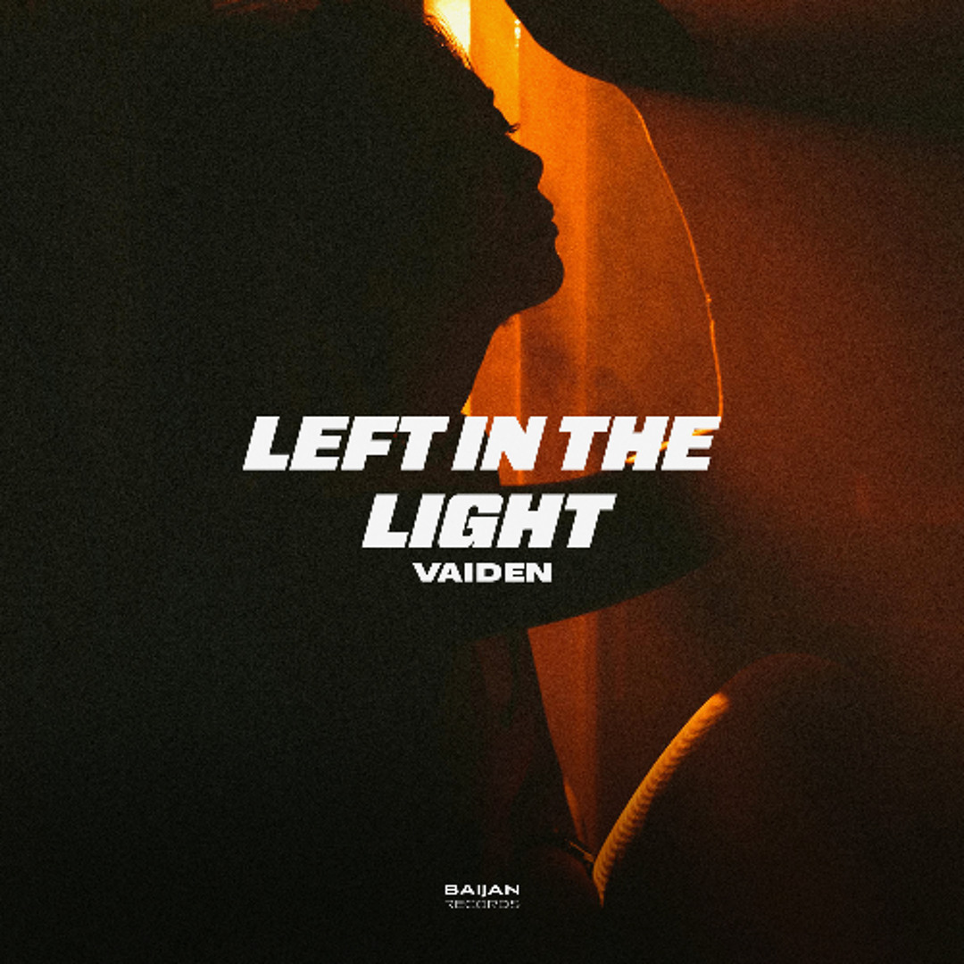Stream VAIDEN - Left in the Light by Baijan Records | Listen online for ...