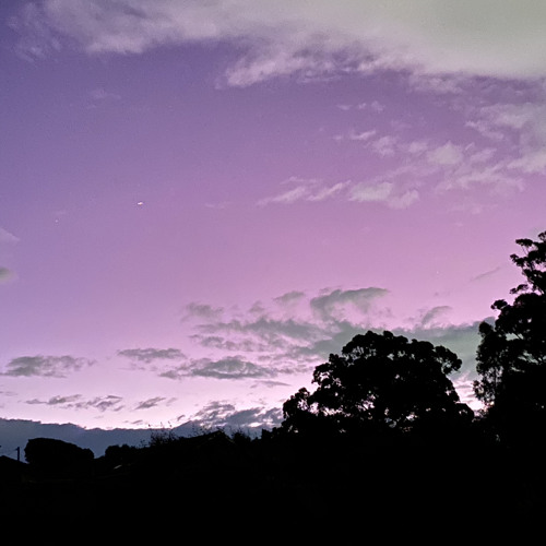 Stream Rowan Drake - Would You Do It Again_ (Demo) by Nancy Lu | Listen ...