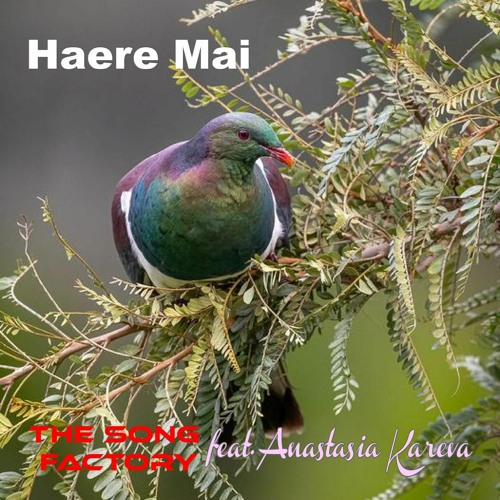 Stream Haere Mai by The Song Factory | Listen online for free on SoundCloud