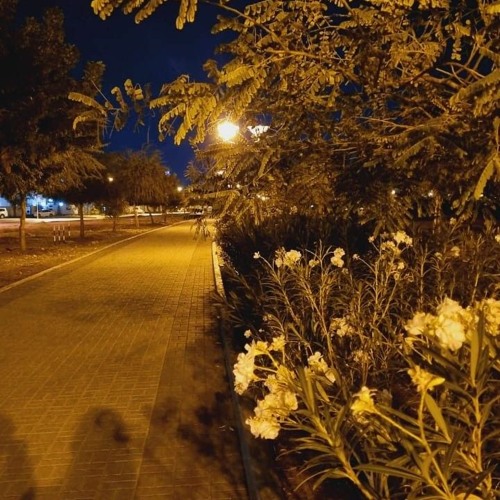 Stream Фотографию Закат (Speed up by Litvix_cursed) by Ltvx_cursed ...