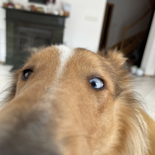 Stream 𖦹☆𝒖𝒔𝒉𝒌𝒐☆𖦹 | Listen to My personal favs playlist online for free ...