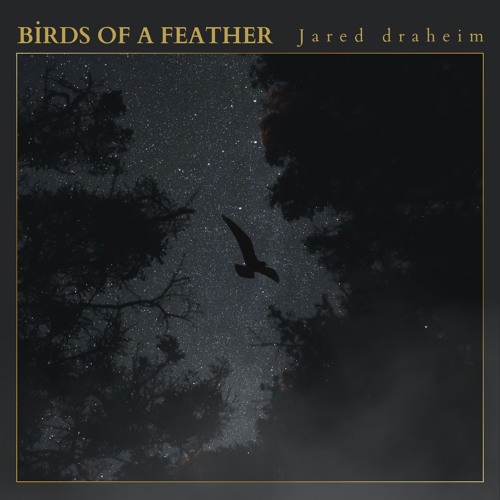Stream Birds of a feather by Jared Draheim | Listen online for free on ...