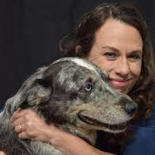 Stream Dr. Lora Ryan: Riverside Veterinary Hospital 12/21/24 by WLNI ...