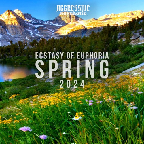 Stream Ecstasy of Euphoria - Spring 2024 by Aggressive Aesthetic ...