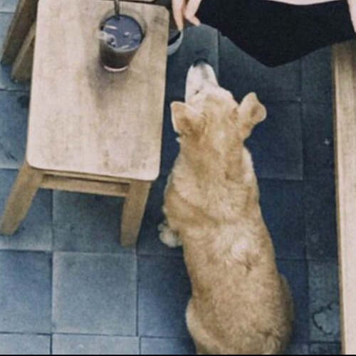 Stream LALALA - truongnguyen X JUYK by JUYK | Listen online for free on ...