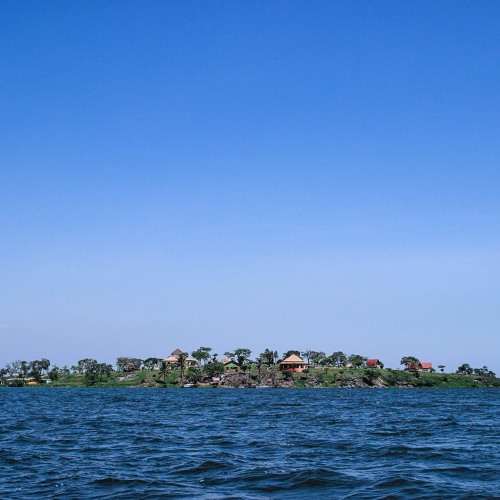 Stream episode Promoting Lake Victoria's Biodiversity by Mesha Science ...